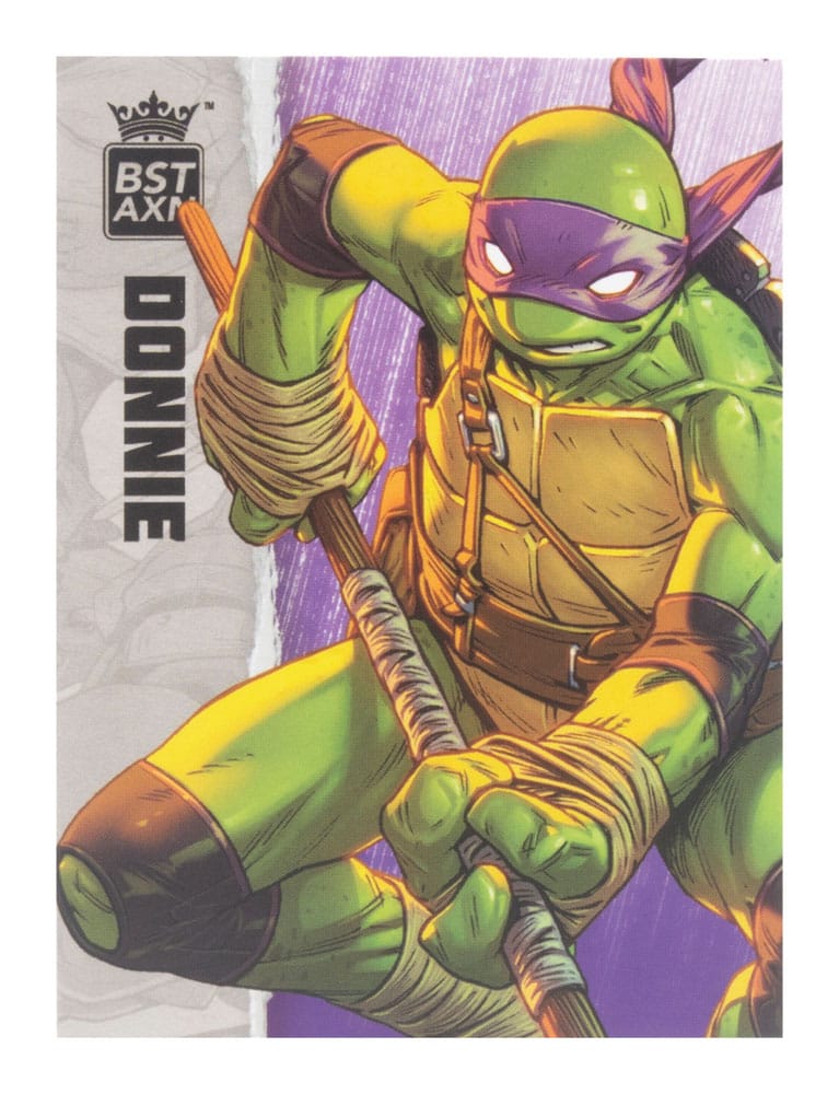 Figurka Teenage Mutant Ninja Turtles BST AXN 1/15 - Donatello (IDW Comics)