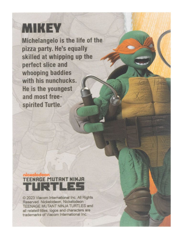 Figurka Teenage Mutant Ninja Turtles BST AXN 1/15 - Michelangelo (IDW ...